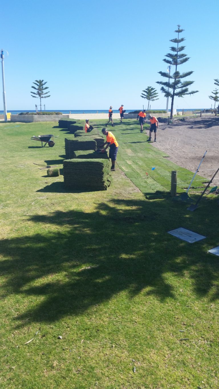 Turf Laying / Installation Services